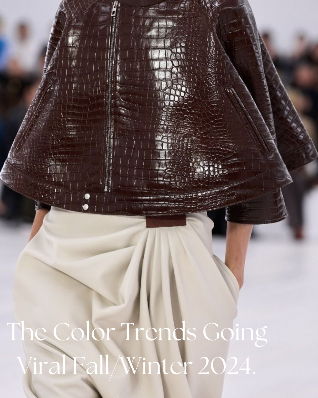 Color Trends in Fashion: Seven Colors Going Viral Fall Winter 2024 ...